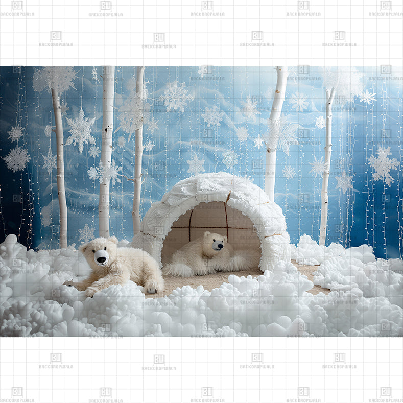 igloo Polar Bears Printed Baby Backdrop – BACKDROPWALA