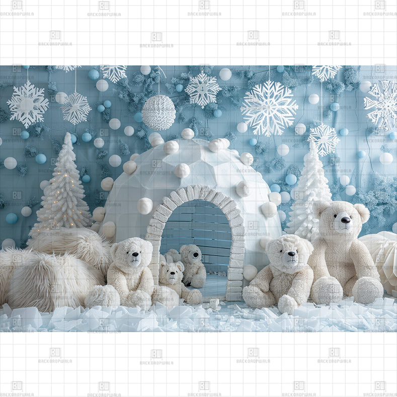 Igloo Bear Setup Printed Baby Backdrop – Backdropwala